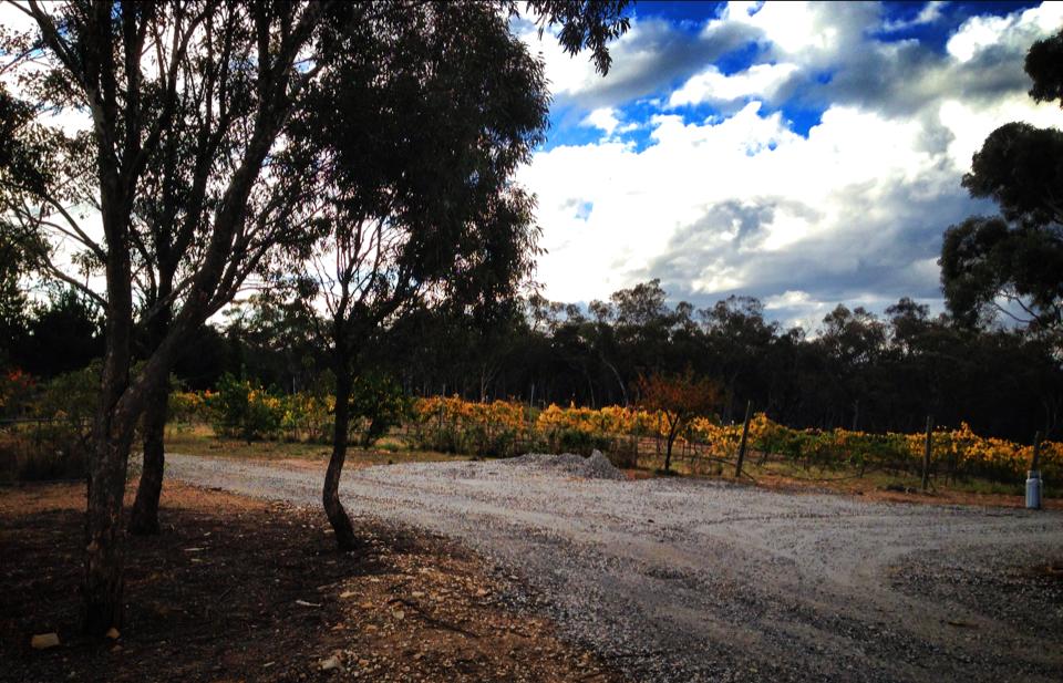 Distant Orchards | Poem and Dish